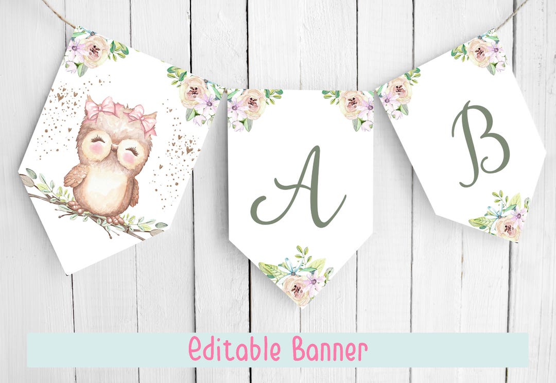 Editable Girl Owl Birthday Banner, Custom Owl Party Banner, Pink Owl ...