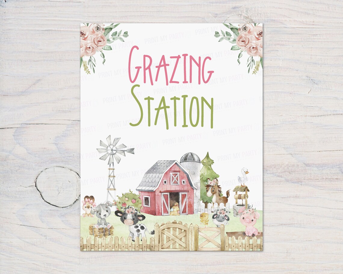 Grazing Station Sign Pink Farm Birthday Decorations Food - Etsy