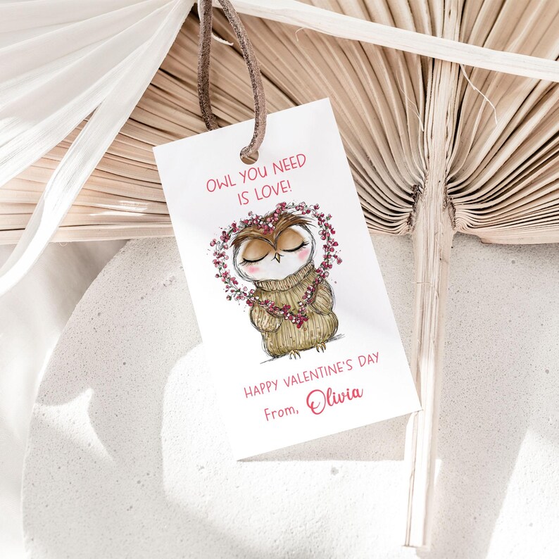 Editable Owl You Need is Love Gift Label, Classroom Valentine Favor ...