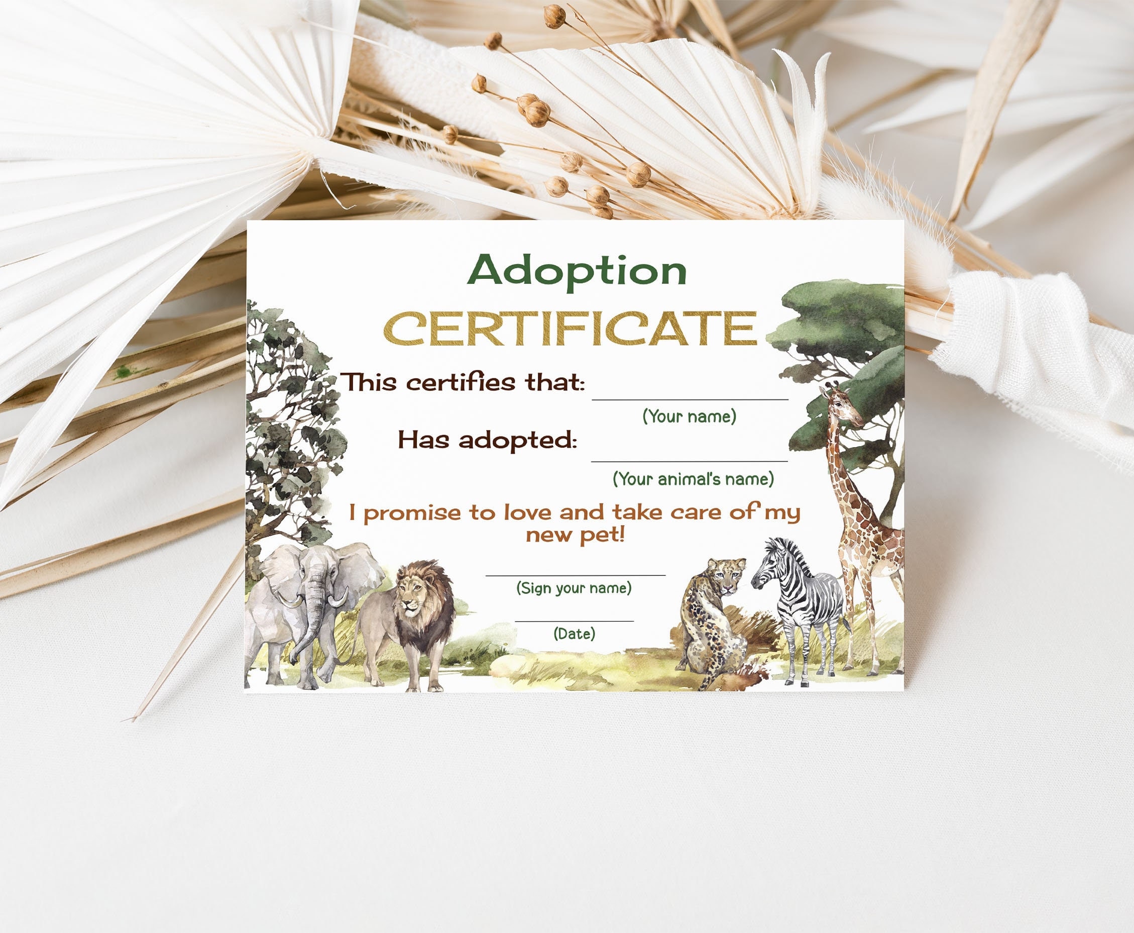Pet Adoption Party Safari Jungle Animals Certificates Of Adoption, 10 ...