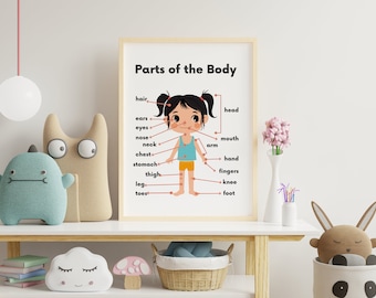 Human Body Poster - Etsy