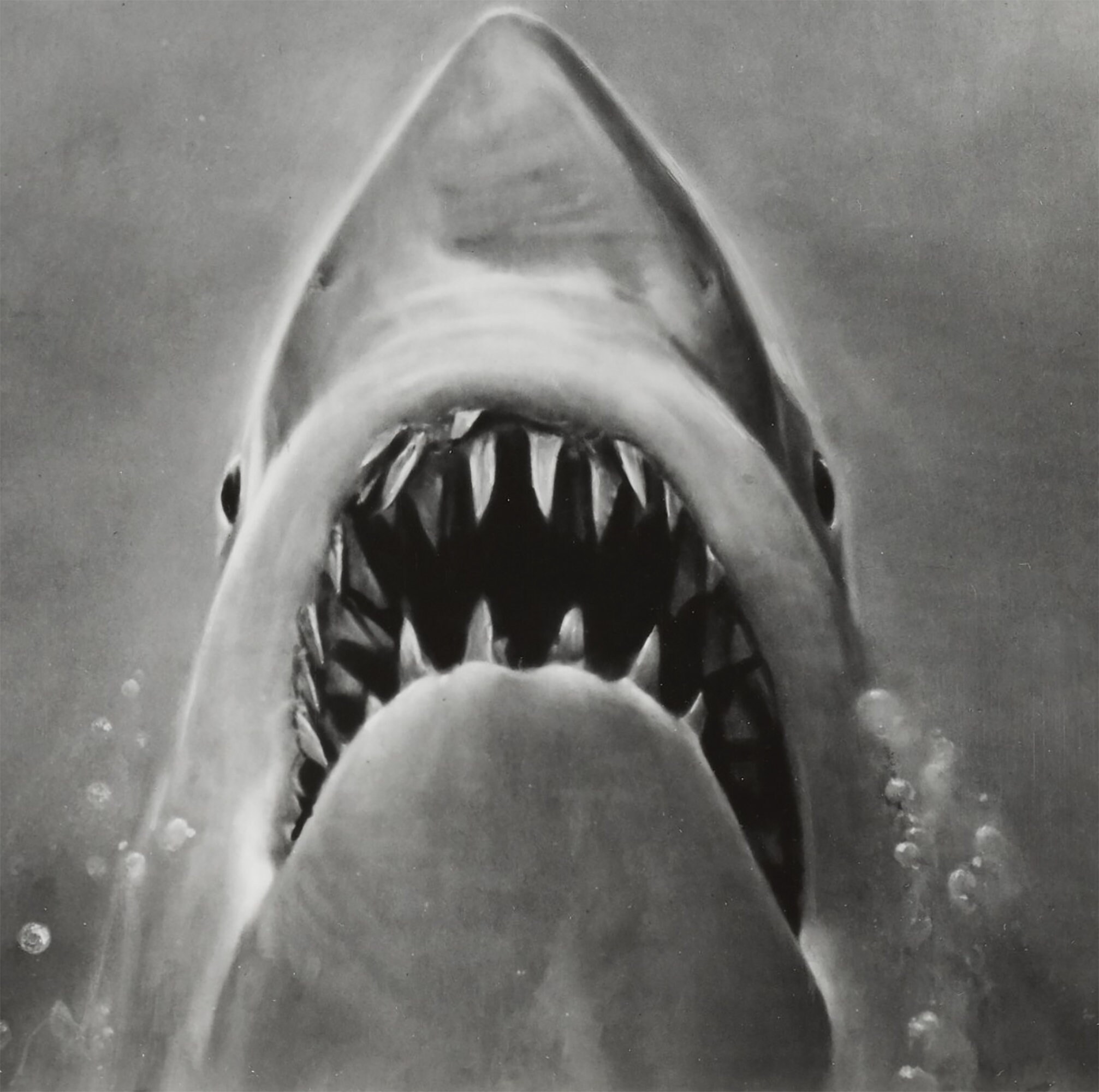 Jaws Movie Poster Black and White Photo Poster Print Canvas - Etsy