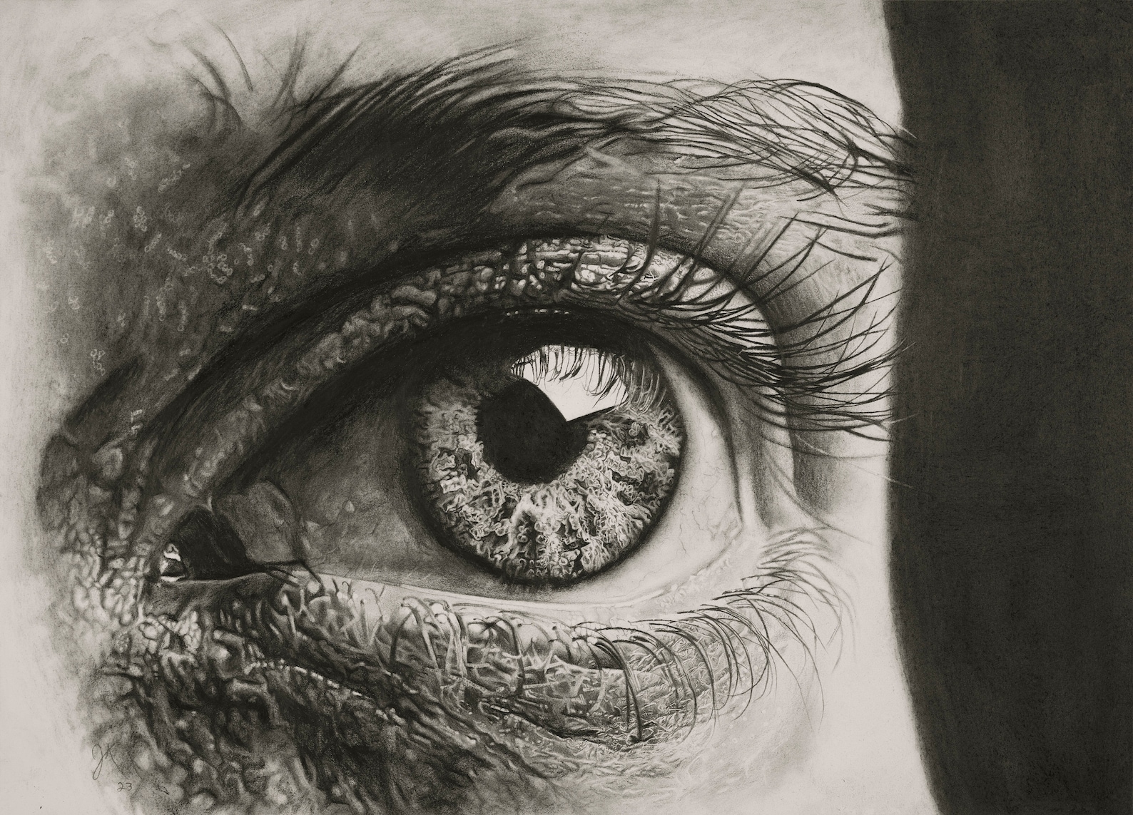 Graphite Eye Drawing - Print - Etsy