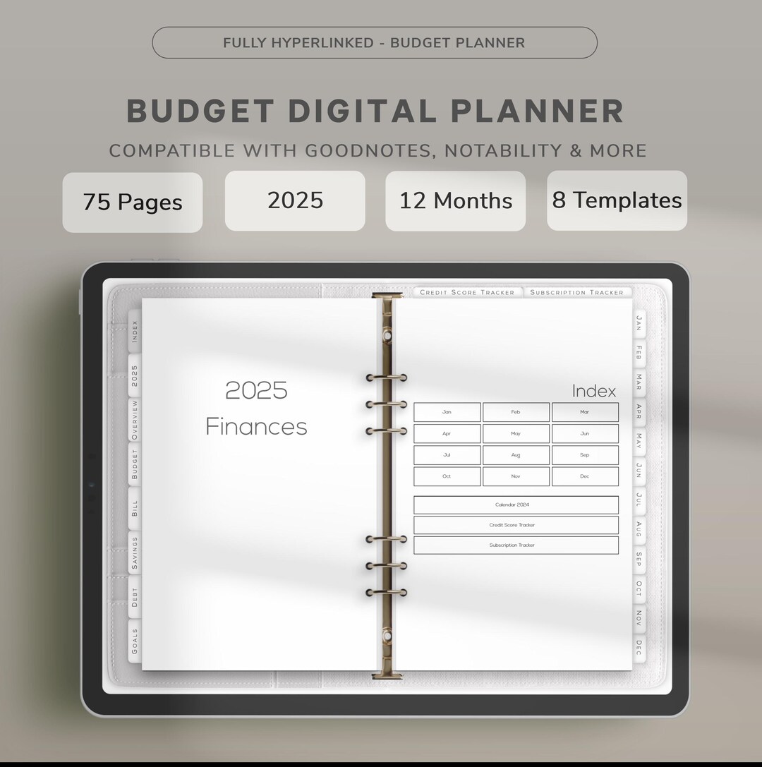 2025 Budget Digital Planner for iPad | Goodnotes Compatible Financial ...