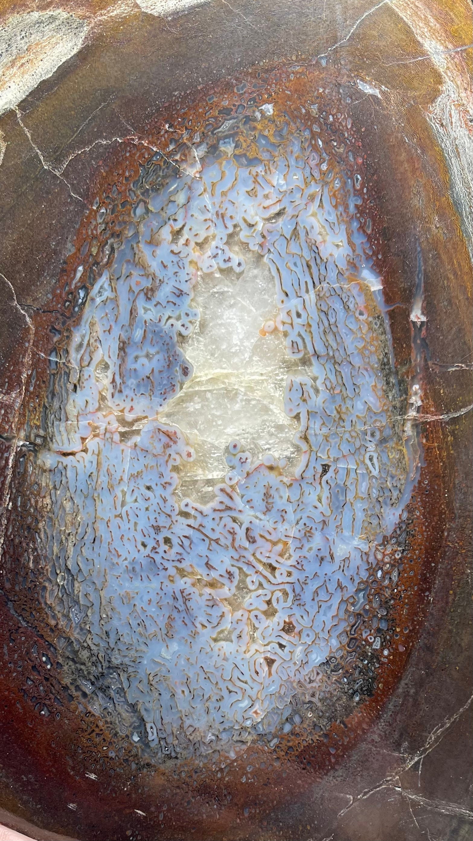 Dinosaur Gem Bone Giant Cut & Finished Slab Huge Blue Agate Cells 2 Lb ...