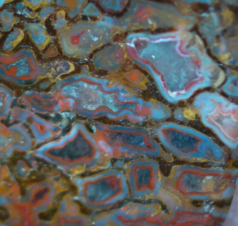 Dinosaur Gem Bone Cabochon 49.35K Genuine Hand Made Dino Bone Cab ...