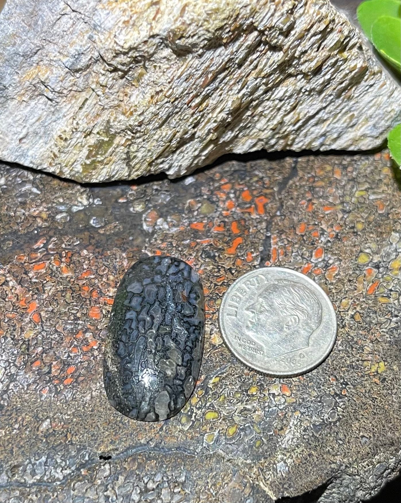 Dinosaur Gem Bone Cabochon Hand Made Blue Dino Bone Cabochon Genuine ...