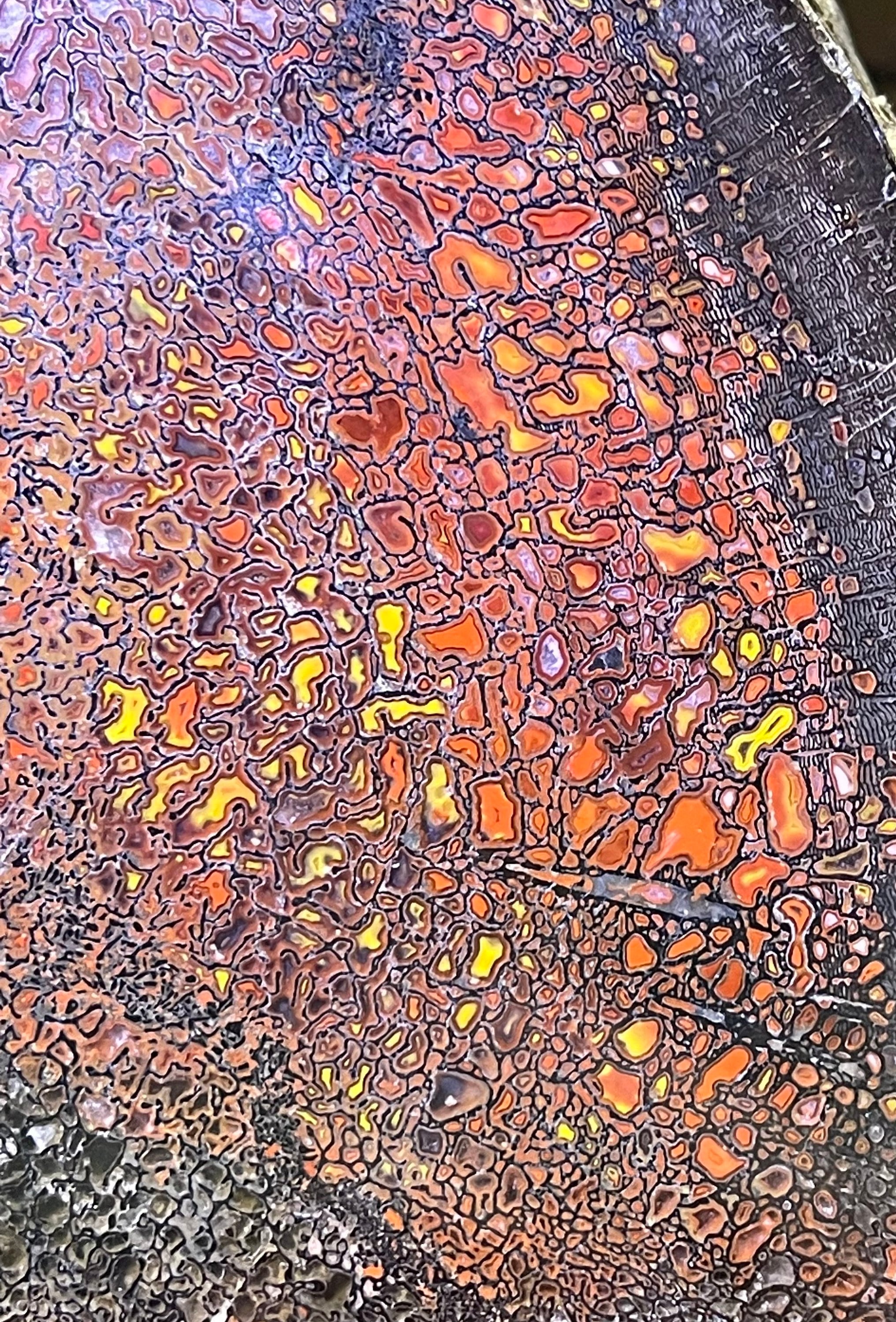 Dinosaur Gem Bone Giant Vertebra 7lb 2 Oz of Spectacular - Etsy