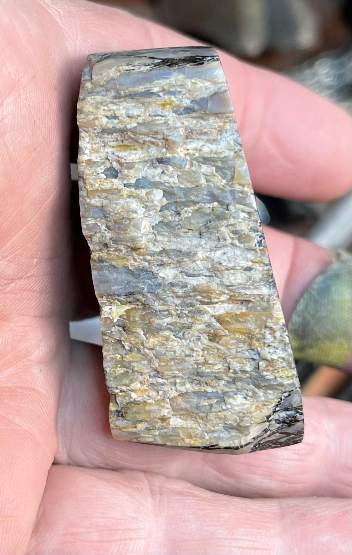 Agate Dinosaur Gem Bone Collection Piece Hand Made 200mm Year Old ...