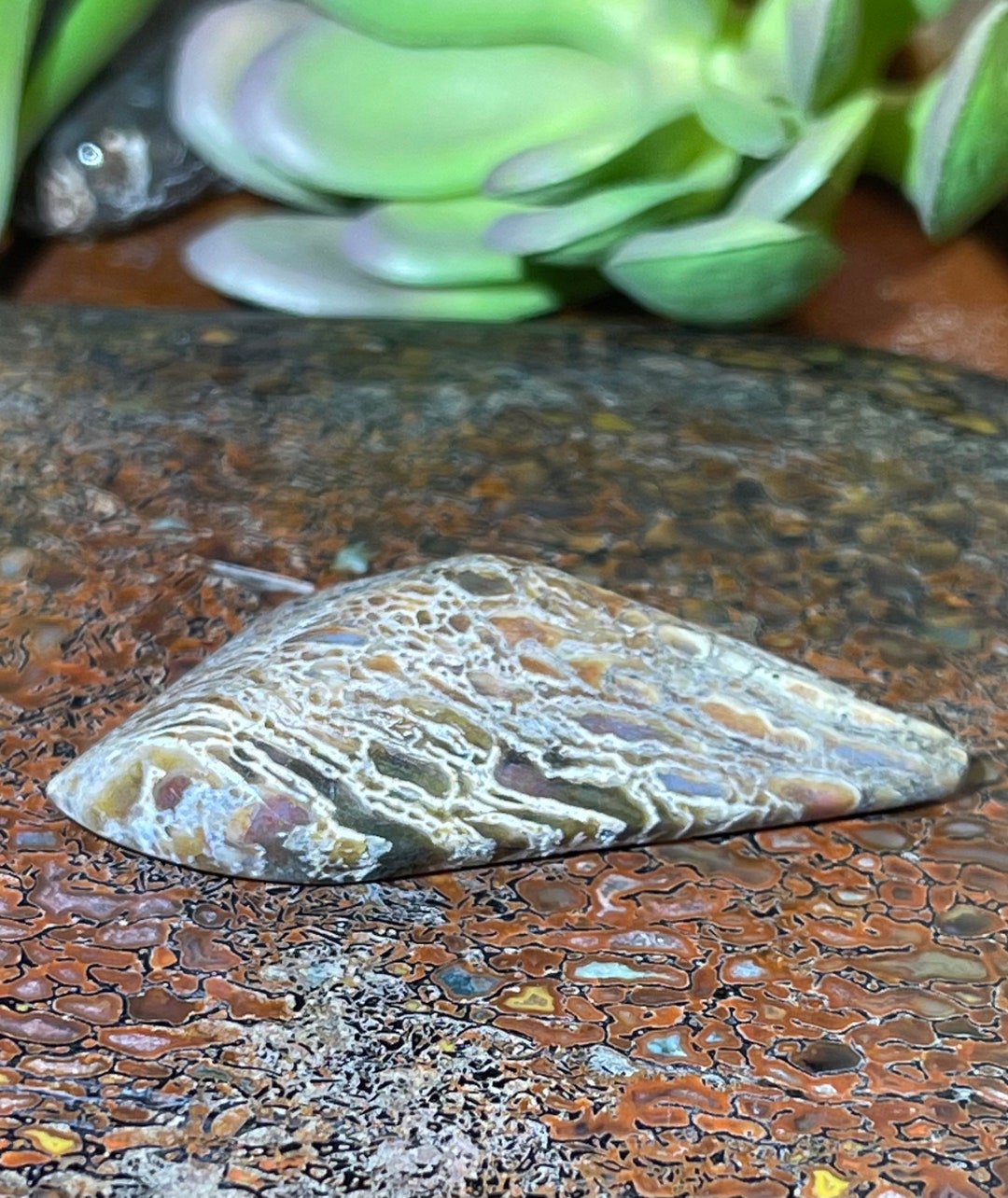 Dinosaur Gem Bone Cabochon Hand Made Large Dino Bone Cabochon Morrison ...