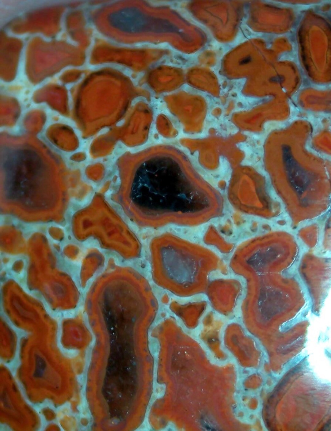 Dinosaur Gem Bone Cabochon 12.60k Agate Big Amethyst Cells Hand Made ...