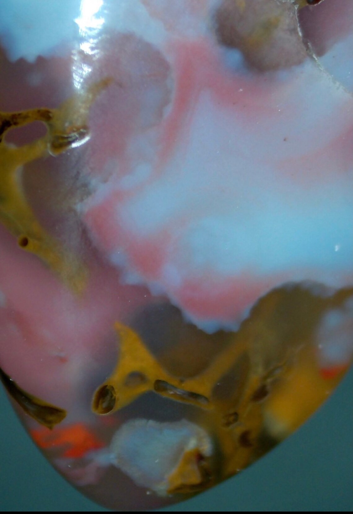 Dinosaur Gem Bone Opalized Spider Bone 14ct Solid Gold | Etsy