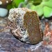 Agate Dinosaur Gem Bone Collection Piece Hand Made Agatized Dino Gem ...