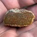 Agate Dinosaur Gem Bone Collection Piece Hand Made Agatized Dino Gem ...