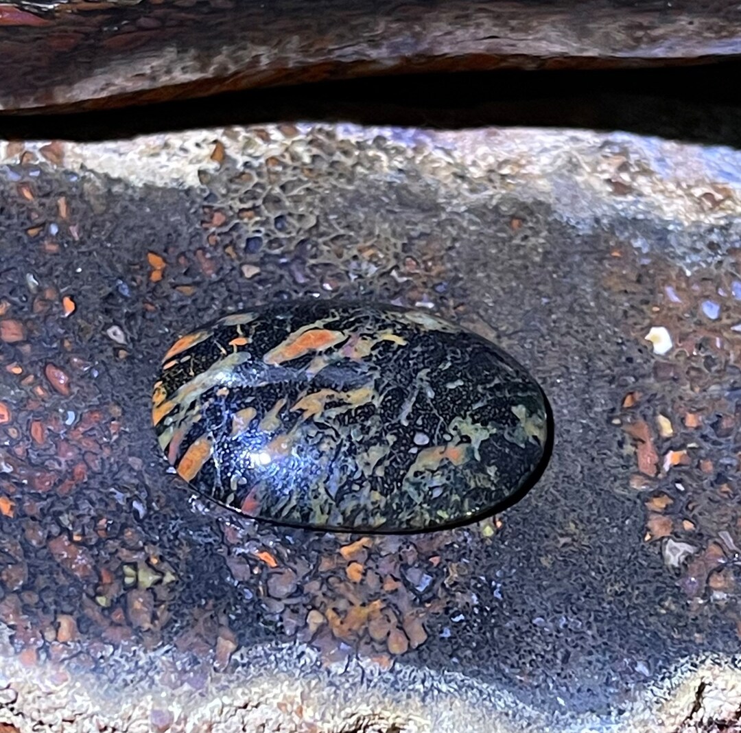 Dinosaur Gem Bone Cabochon Hand Cut and Polished Genuine Dino Bone ...