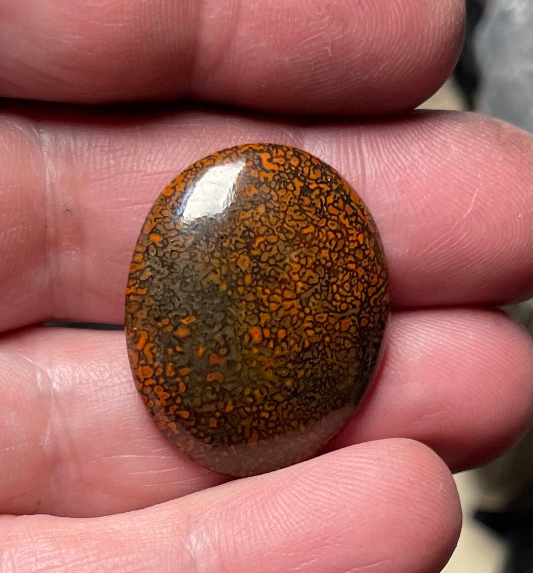 Dinosaur Gem Bone Cabochon 34.70ct Hand Made Dino Bone Cab Genuine ...