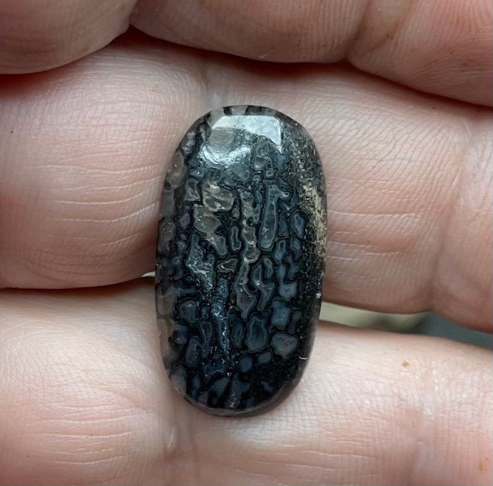 Dinosaur Gem Bone Cabochon Hand Made Blue Dino Bone Cabochon Genuine ...