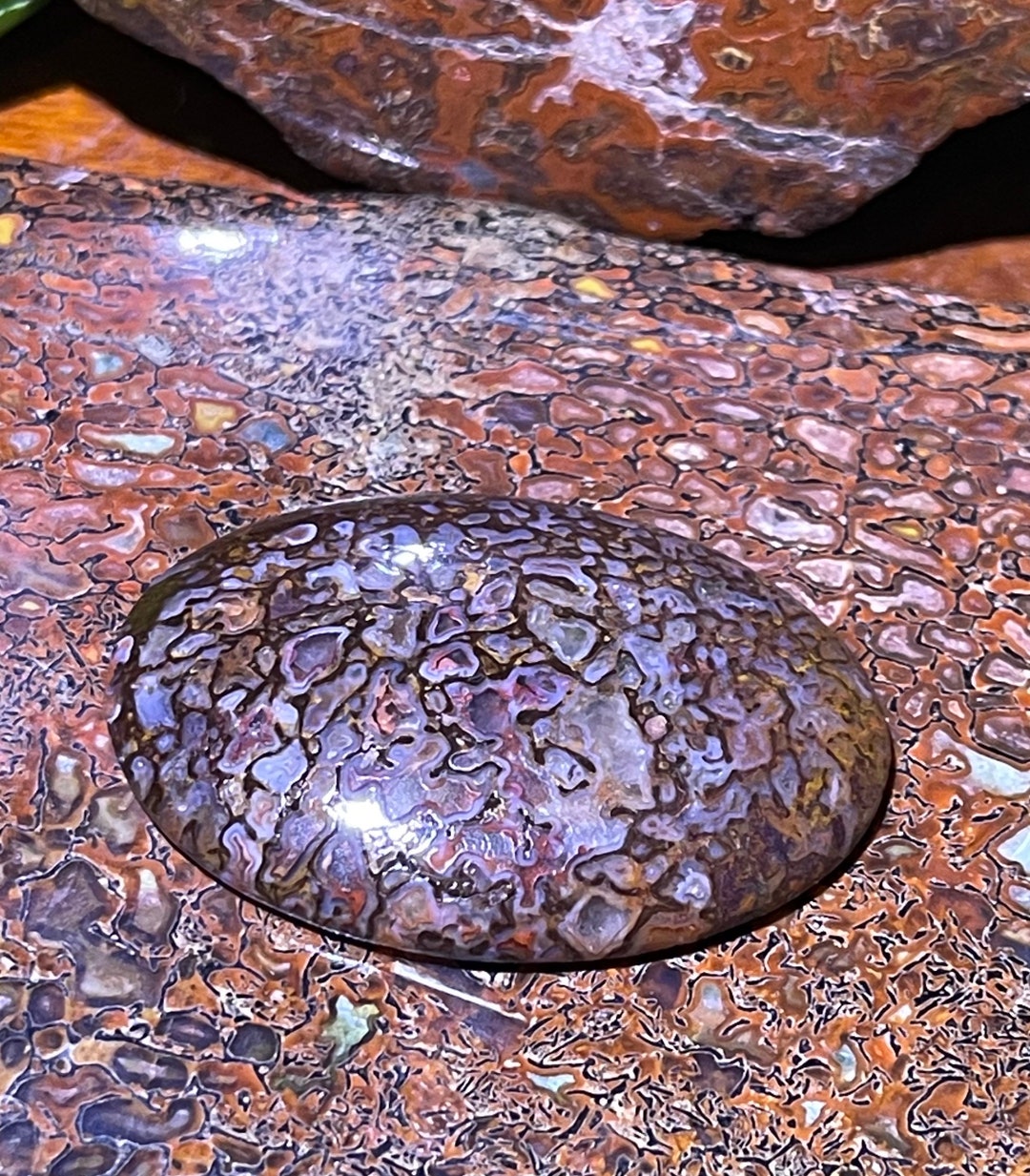 Dinosaur Gem Bone Cabochon 49.35K Genuine Hand Made Dino Bone Cab ...