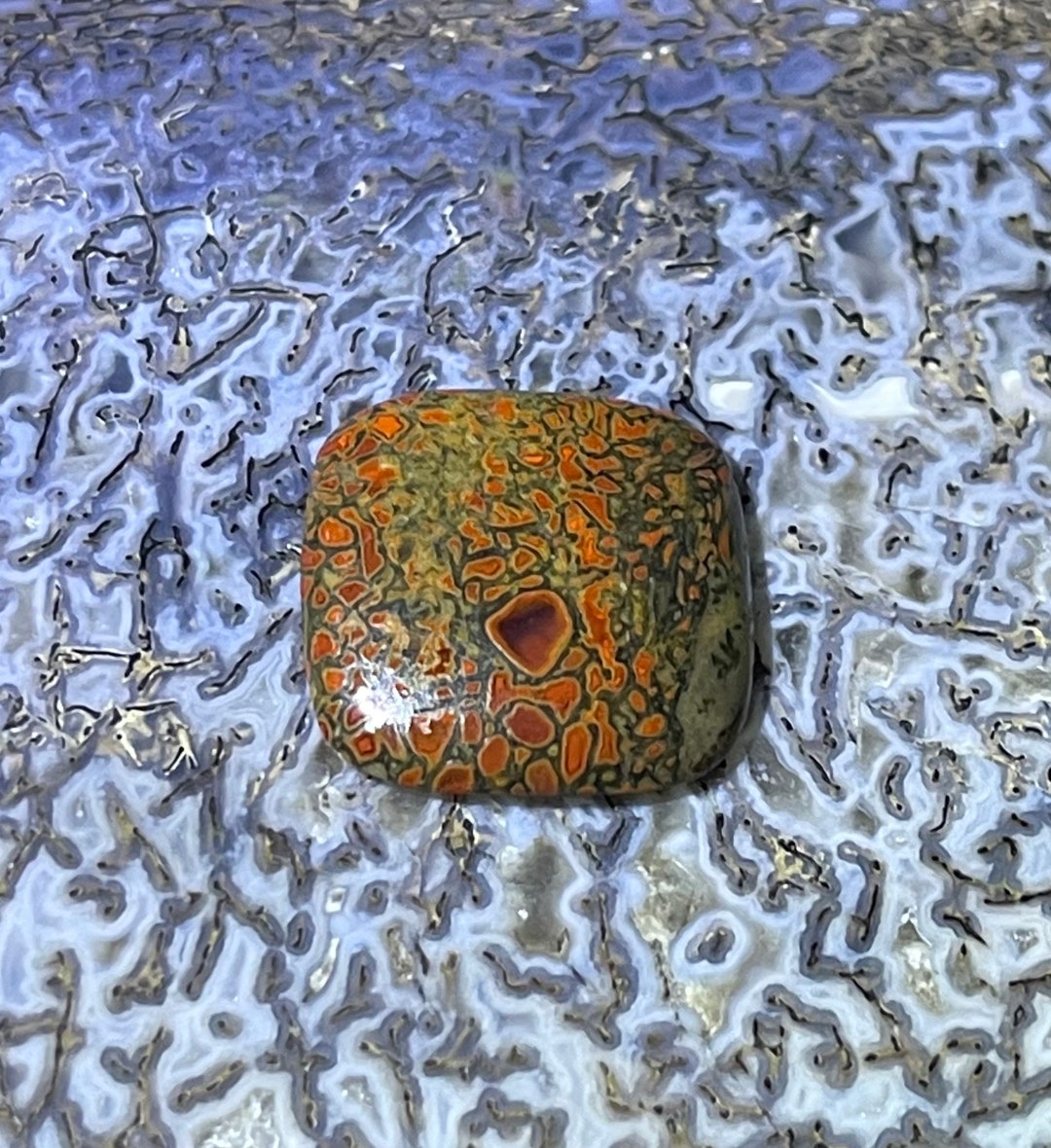 Dinosaur Gem Bone Cabochon 13.80ct Genuine Hand Made Dino Bone Cab ...