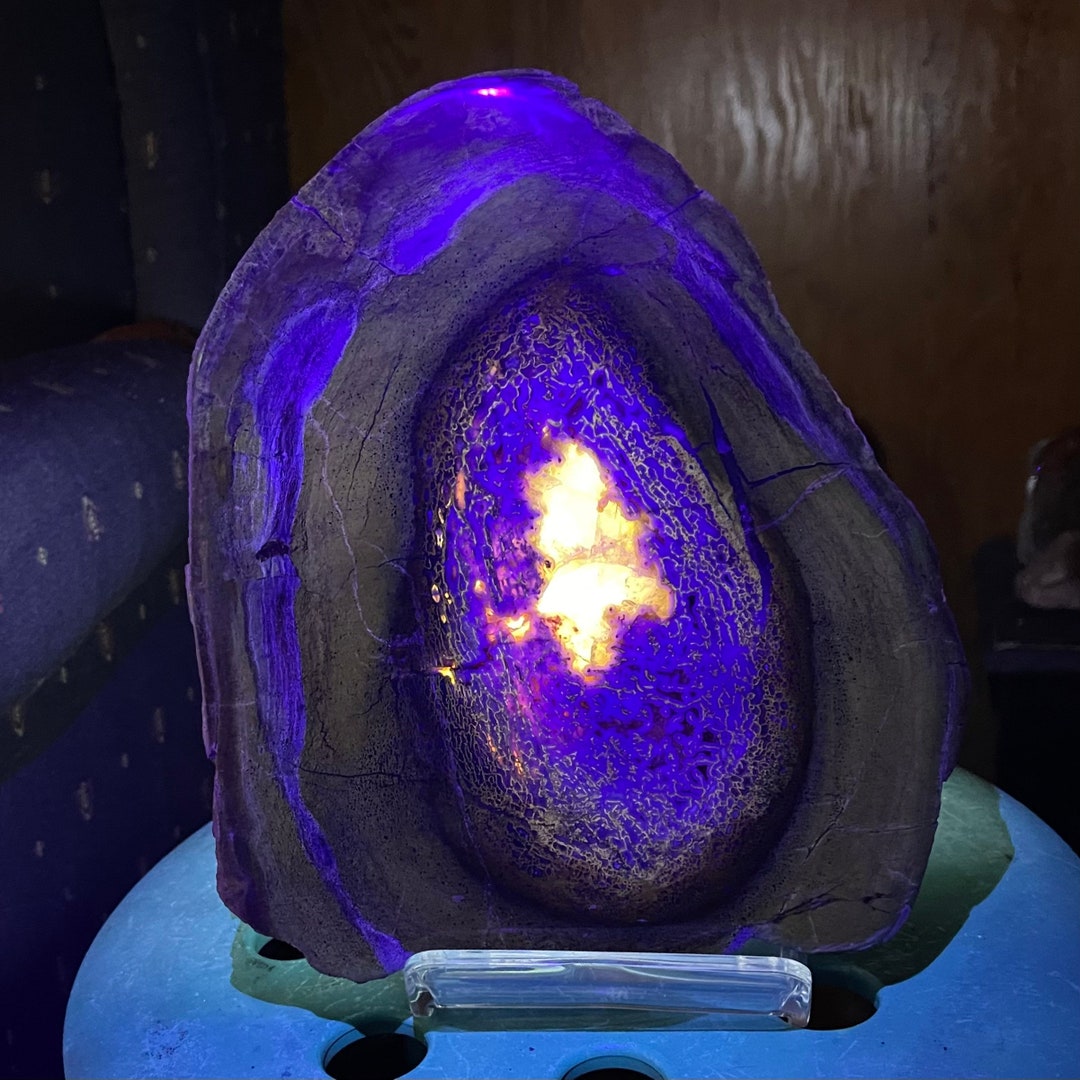 Dinosaur Gem Bone Giant Cut & Finished Slab Huge Blue Agate Cells 2 Lb ...