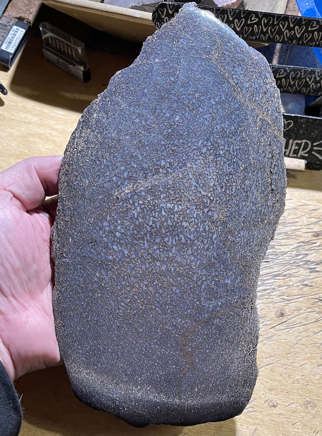 Dinosaur Gem Bone Huge Slab 9.5” X 5” Agate Dino Bone Genuine 150mm ...