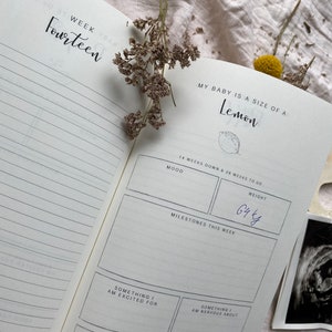 Pregnancy Journal - US, Linen Pregnancy Planner, Pregnancy Diary ...