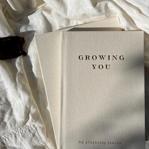 Pregnancy Journal - US, Linen Pregnancy Planner, Expectant Mother Gift ...