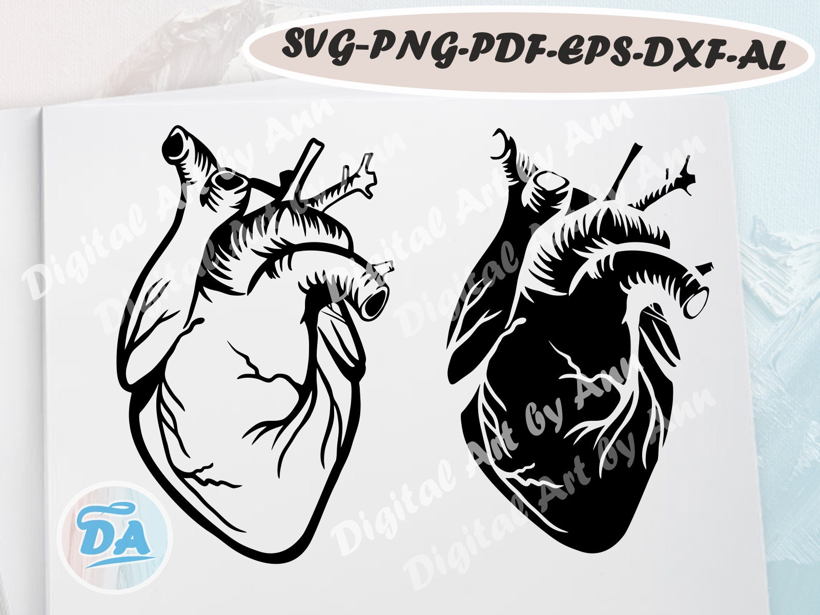 Anatomical Heart Svg Heart svg Human Heart Clip Art Decal | Etsy