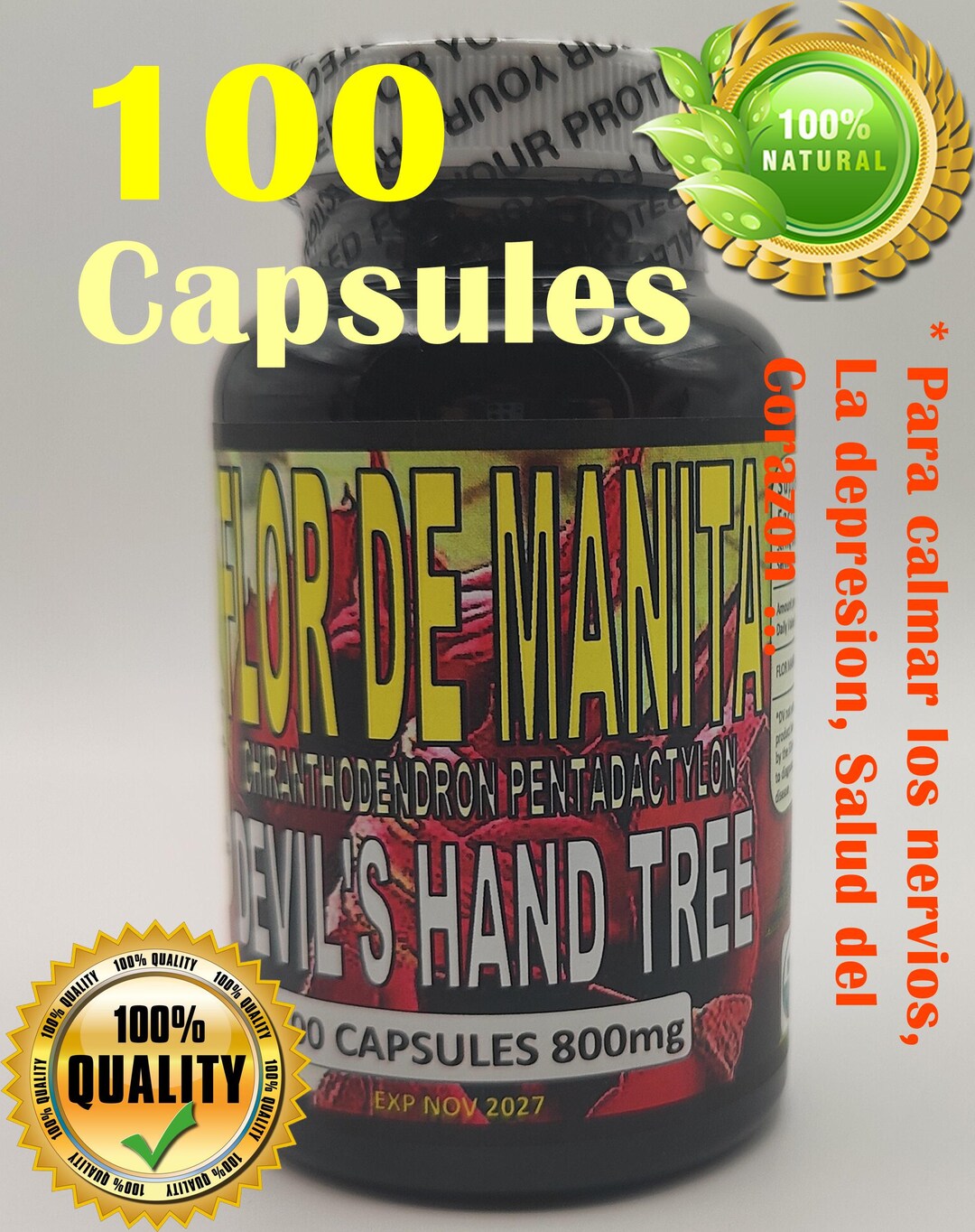 Flor De Manita,devil's Hand Flower Chiranthodendron Pentadactylon 100 ...