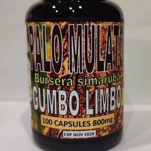 Palo Mulato Bursera Simaruba Bark Gumbo Limbo Palo Jiote Naked Indian ...