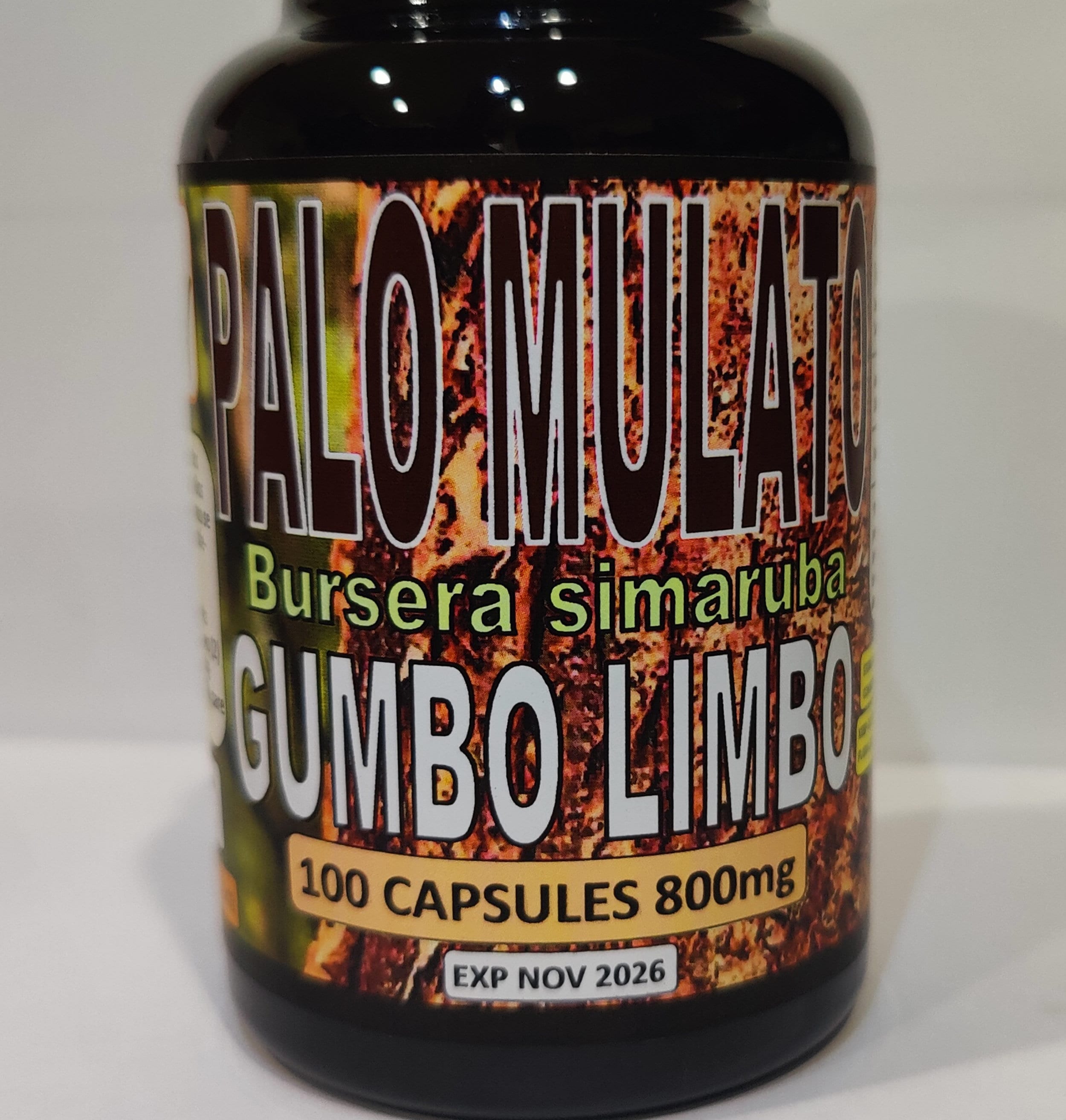 Palo Mulato Bursera Simaruba Bark Gumbo Limbo Palo Jiote Naked Indian ...