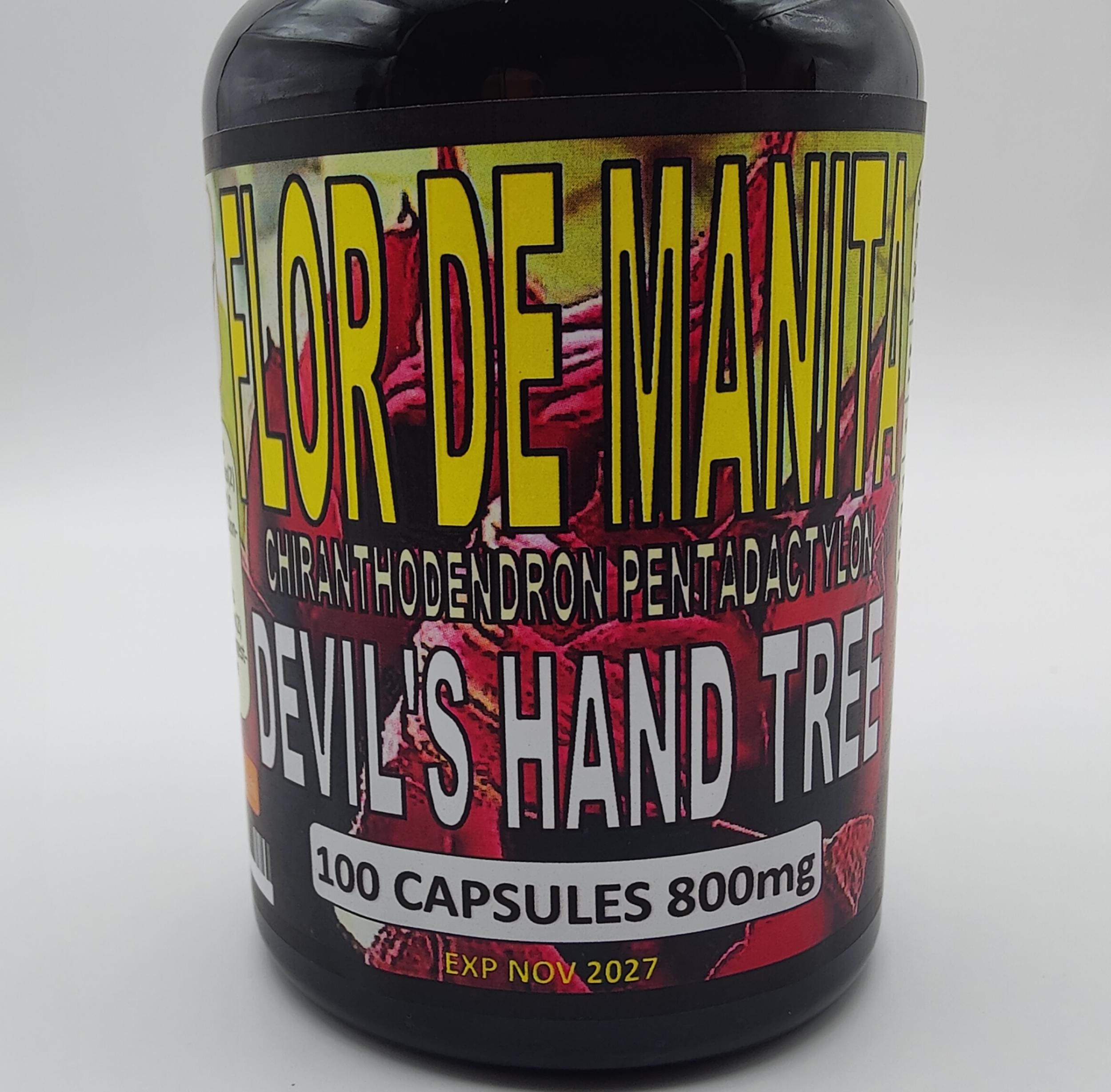 Flor De Manita,devil's Hand Flower Chiranthodendron Pentadactylon 100 ...