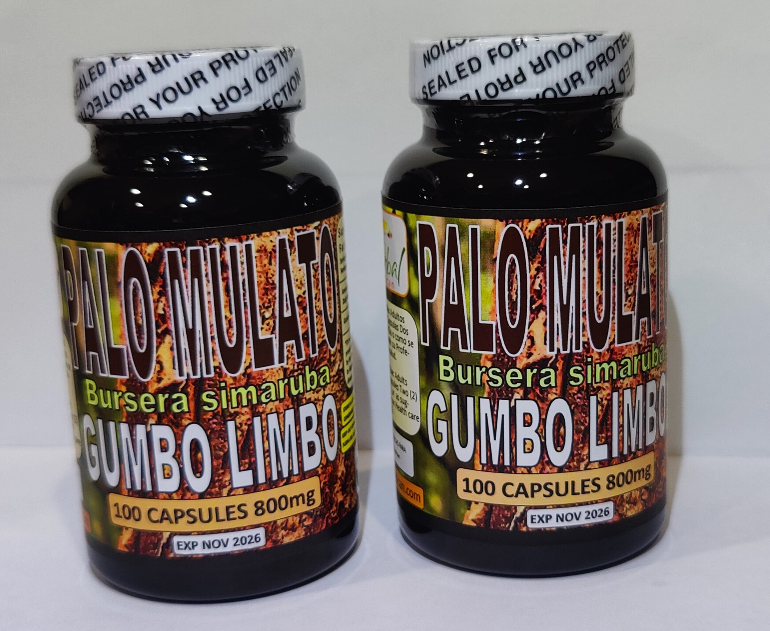 Palo Mulato Bursera Simaruba Bark Gumbo Limbo Palo Jiote Naked Indian ...