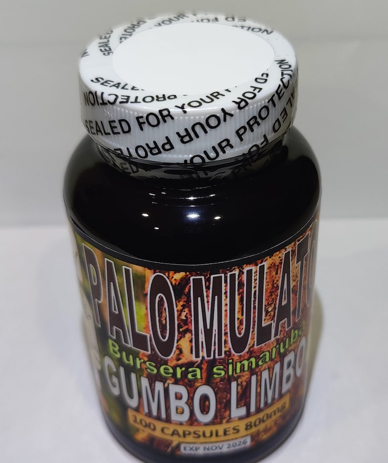 Palo Mulato Bursera Simaruba Bark Gumbo Limbo Palo Jiote Naked Indian ...