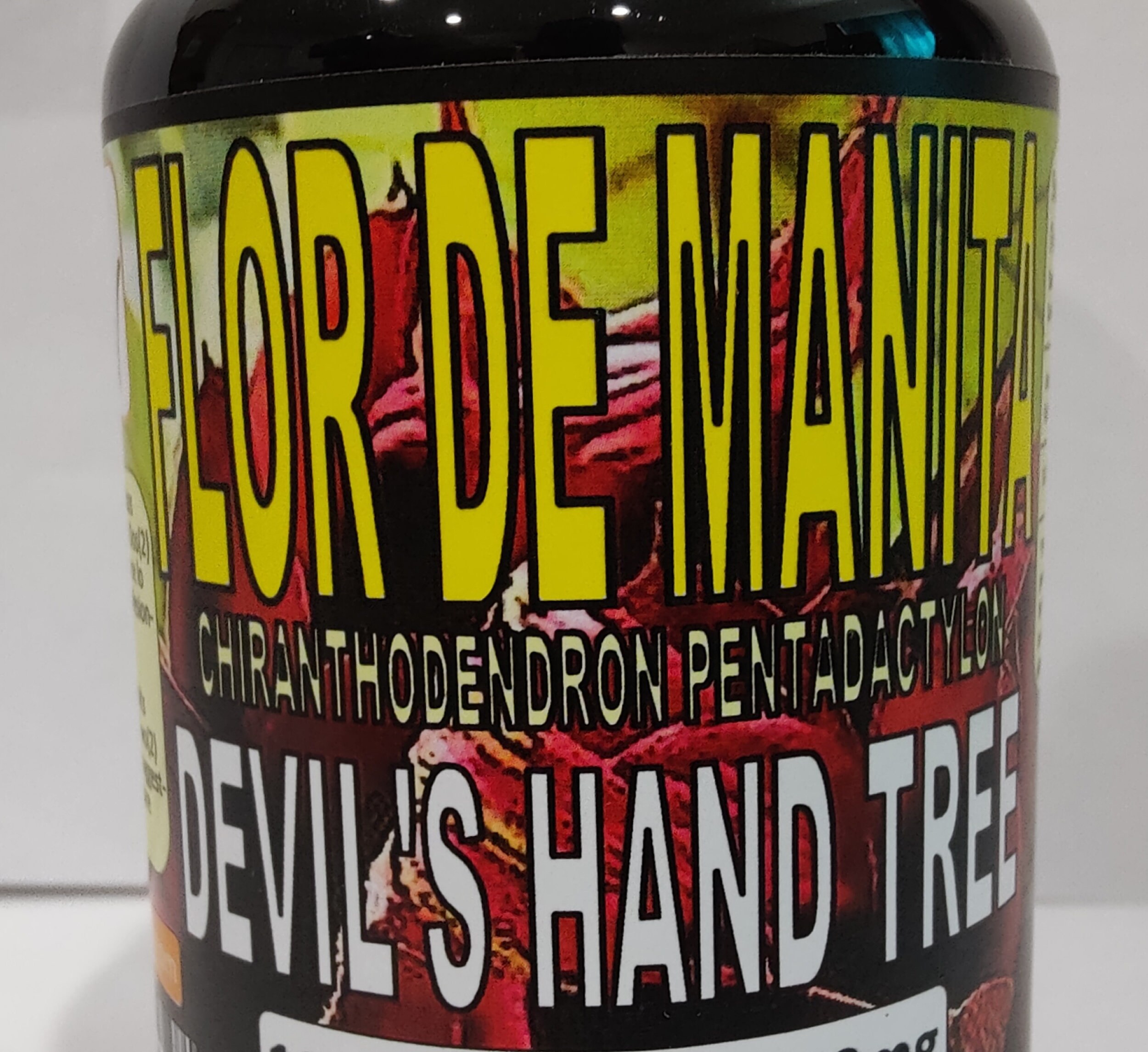 Flor De Manita,devil's Hand Flower Chiranthodendron Pentadactylon 100 ...