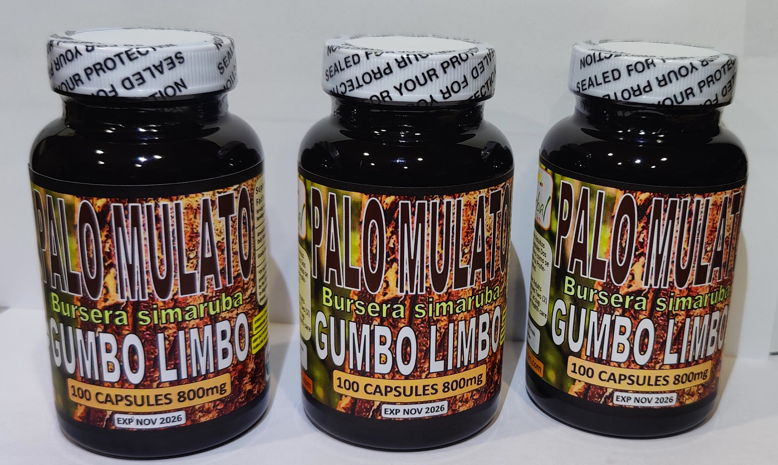 Palo Mulato Bursera Simaruba Bark Gumbo Limbo Palo Jiote Naked Indian ...