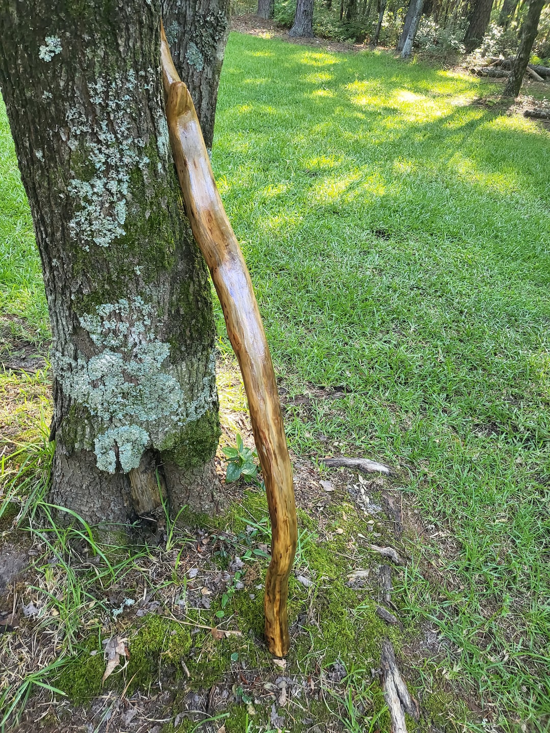 Gnarled Root Walking Stick Hiking Camping 4' 2 Long - Etsy