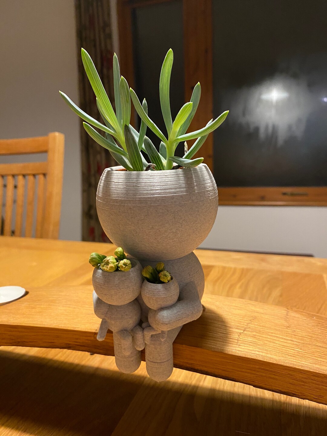 Wee Jimmy Granny Grandmother Grandma Plant Pot Succulent Airplant ...