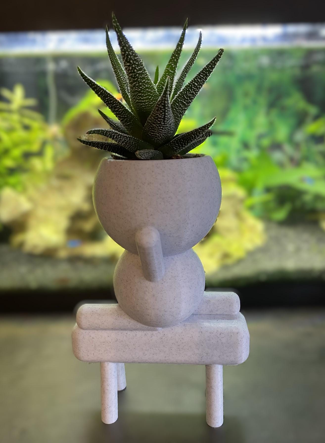Gymnast Gift "wee Jimmy Gymnast" on Pommel Horse Gymnastics Succulent ...