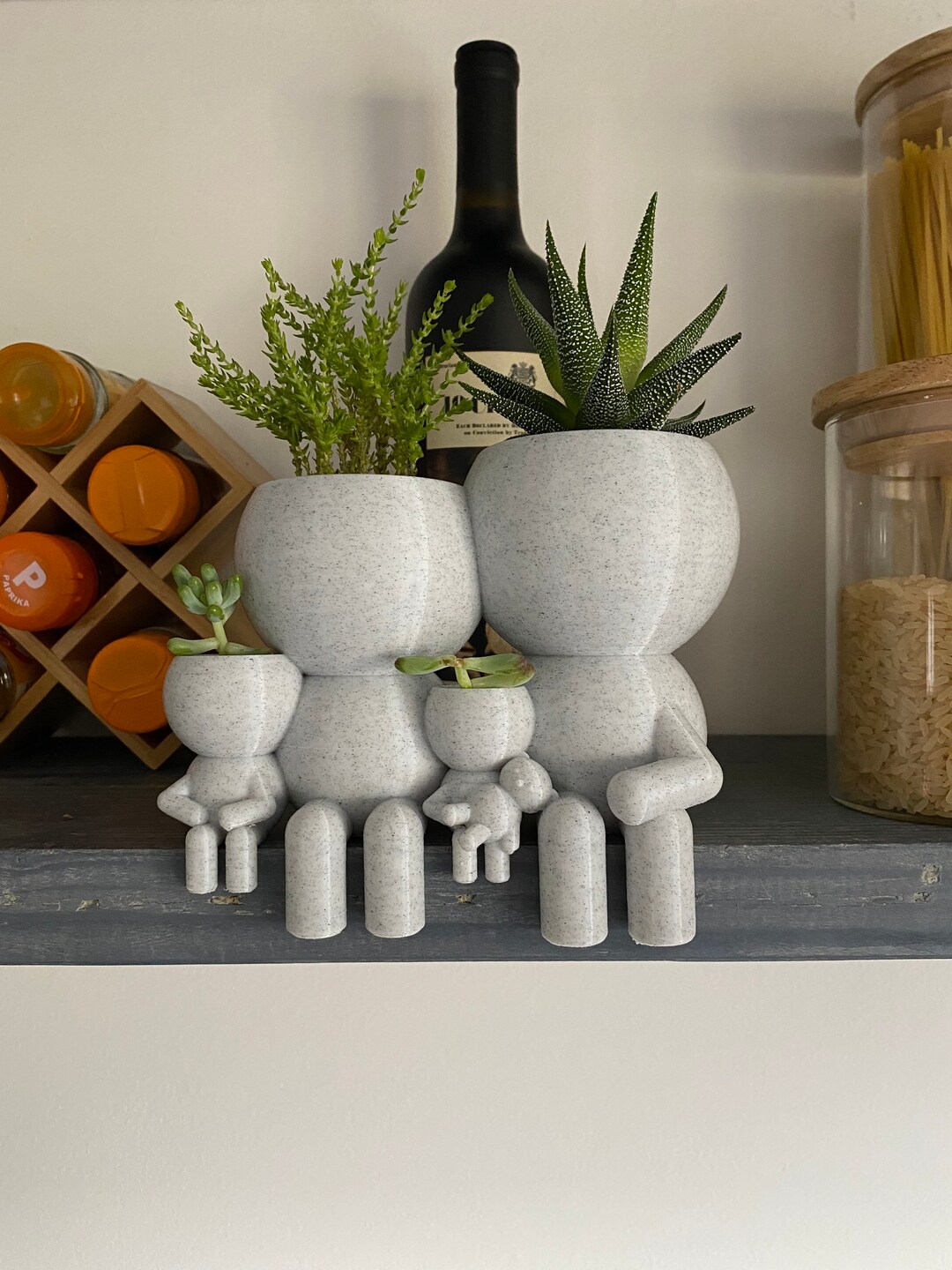 Family of Four Succulent Plant Pot - Ships From USA - Etsy