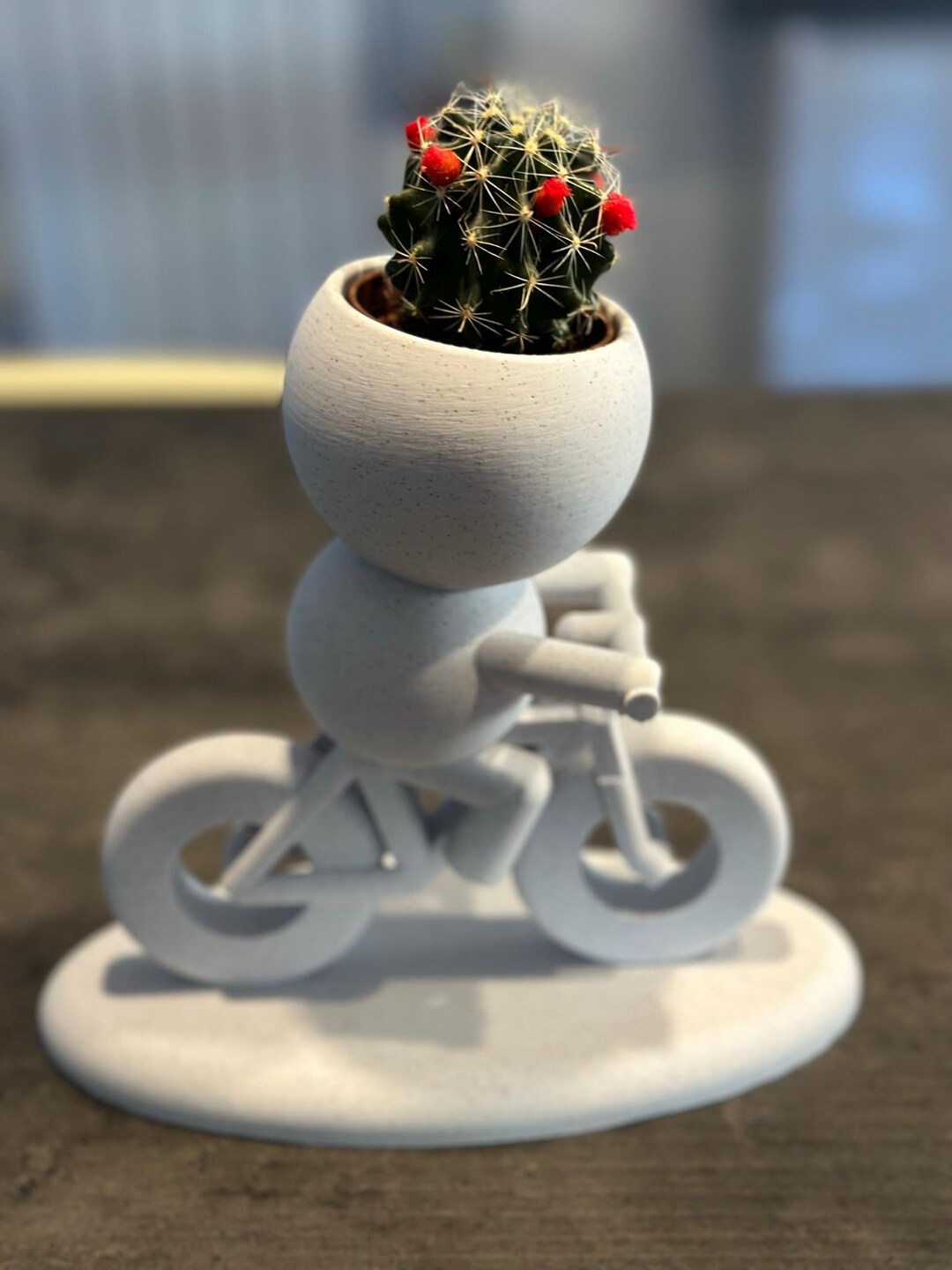 Mountain Biker Succulent Plant Pot Airplant Holder “wee Jimmy Doonhill ...