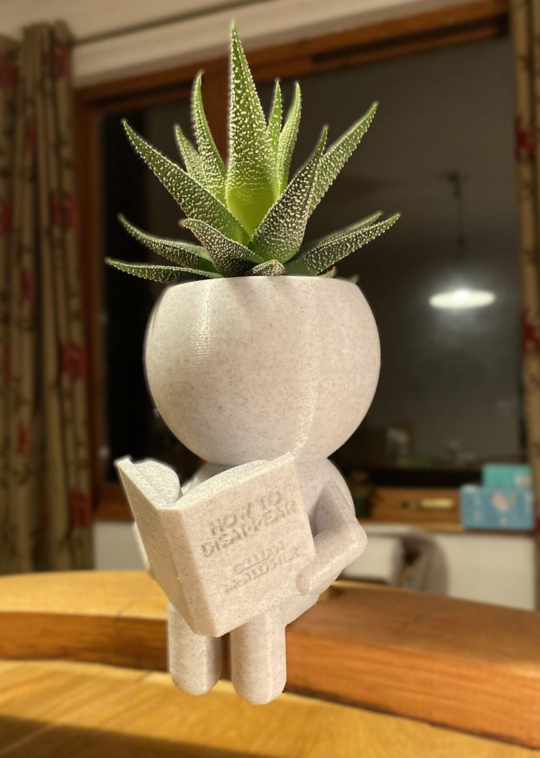 Book Lover Gift Succulent Planter 'wee Jimmy Reid' Housewarming Gift ...