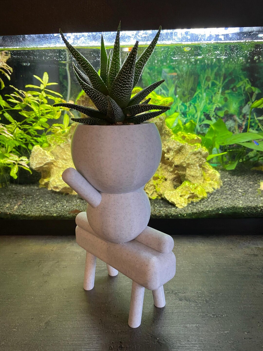 Gymnast Gift "wee Jimmy Gymnast" on Pommel Horse Gymnastics Succulent ...
