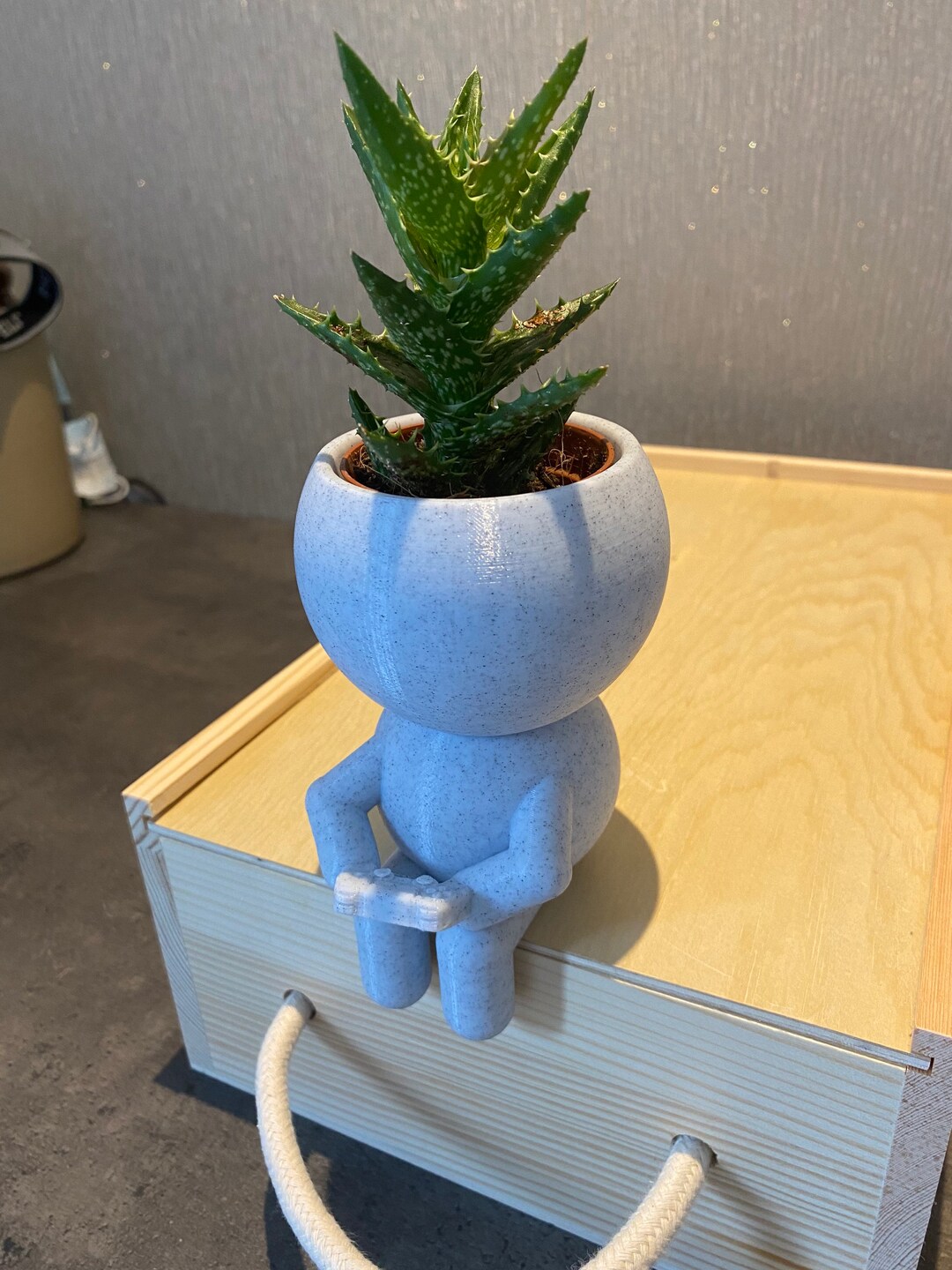 Gamer Succulent Plant Pot Airplant Holder "wee Jimmy Gamer" - Ships ...
