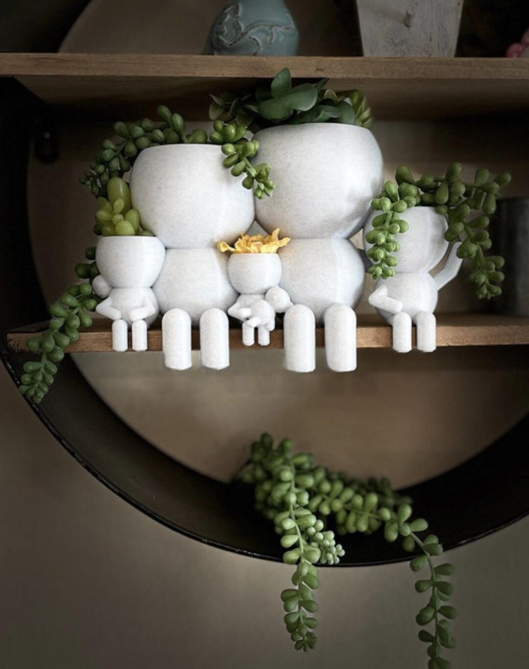 Family of 5 Gift Succulent Planter Airplant Holder "wee Jimmy’s Family ...