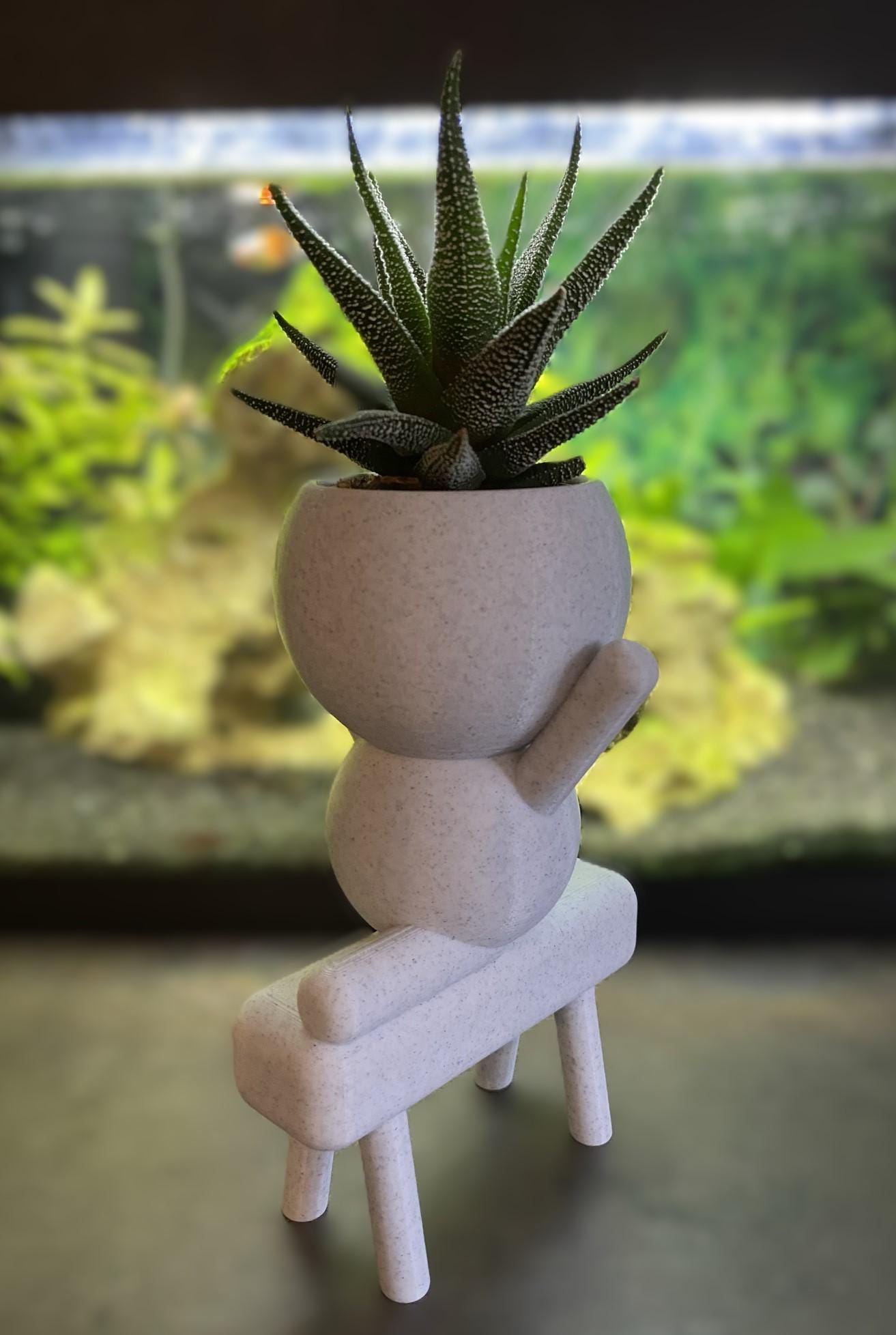Gymnast Gift "wee Jimmy Gymnast" on Pommel Horse Gymnastics Succulent ...