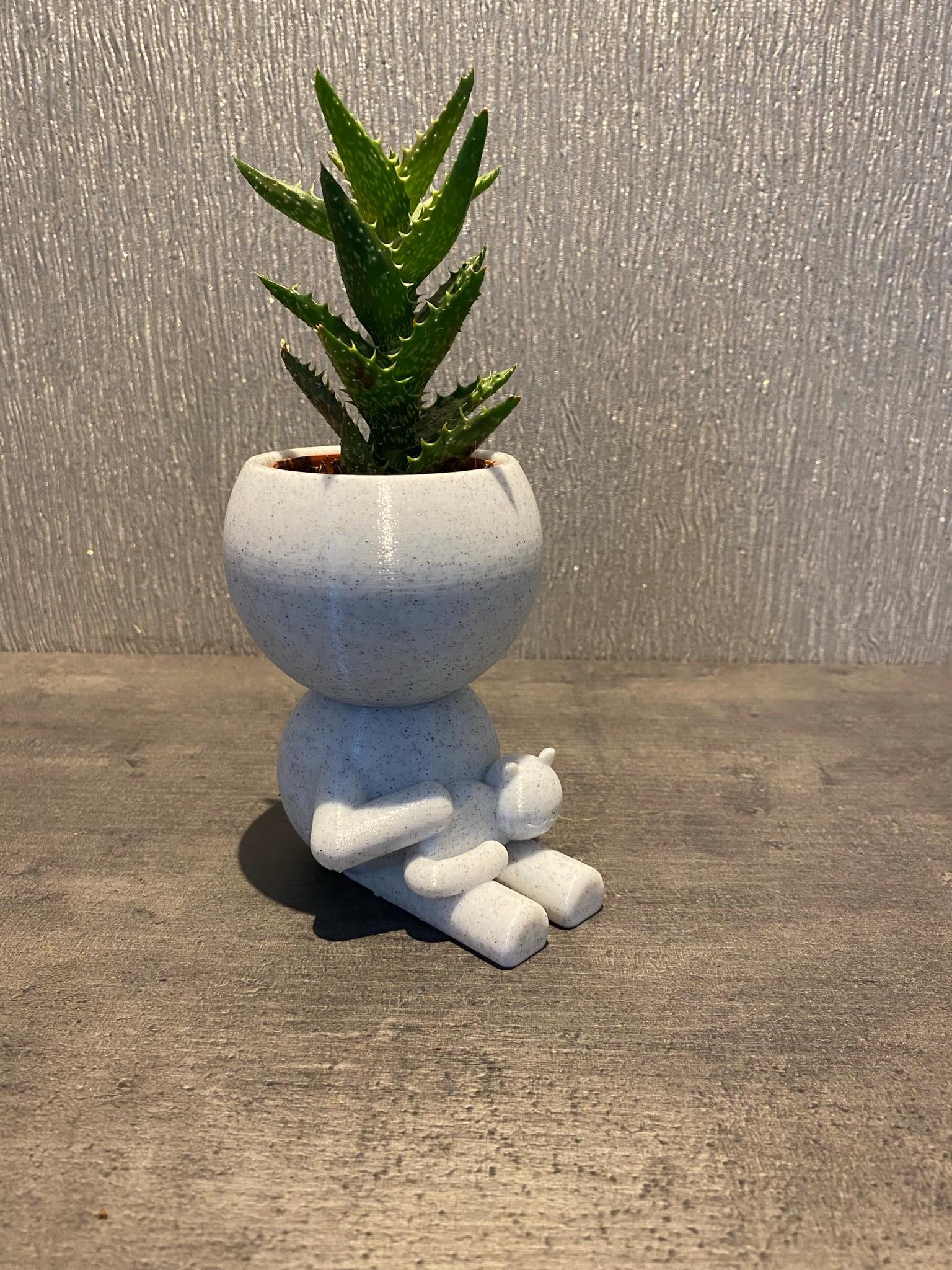 Wee Jimmy & Mr Bigglesworth Whimsical Cat Lover Planter Minimalist ...