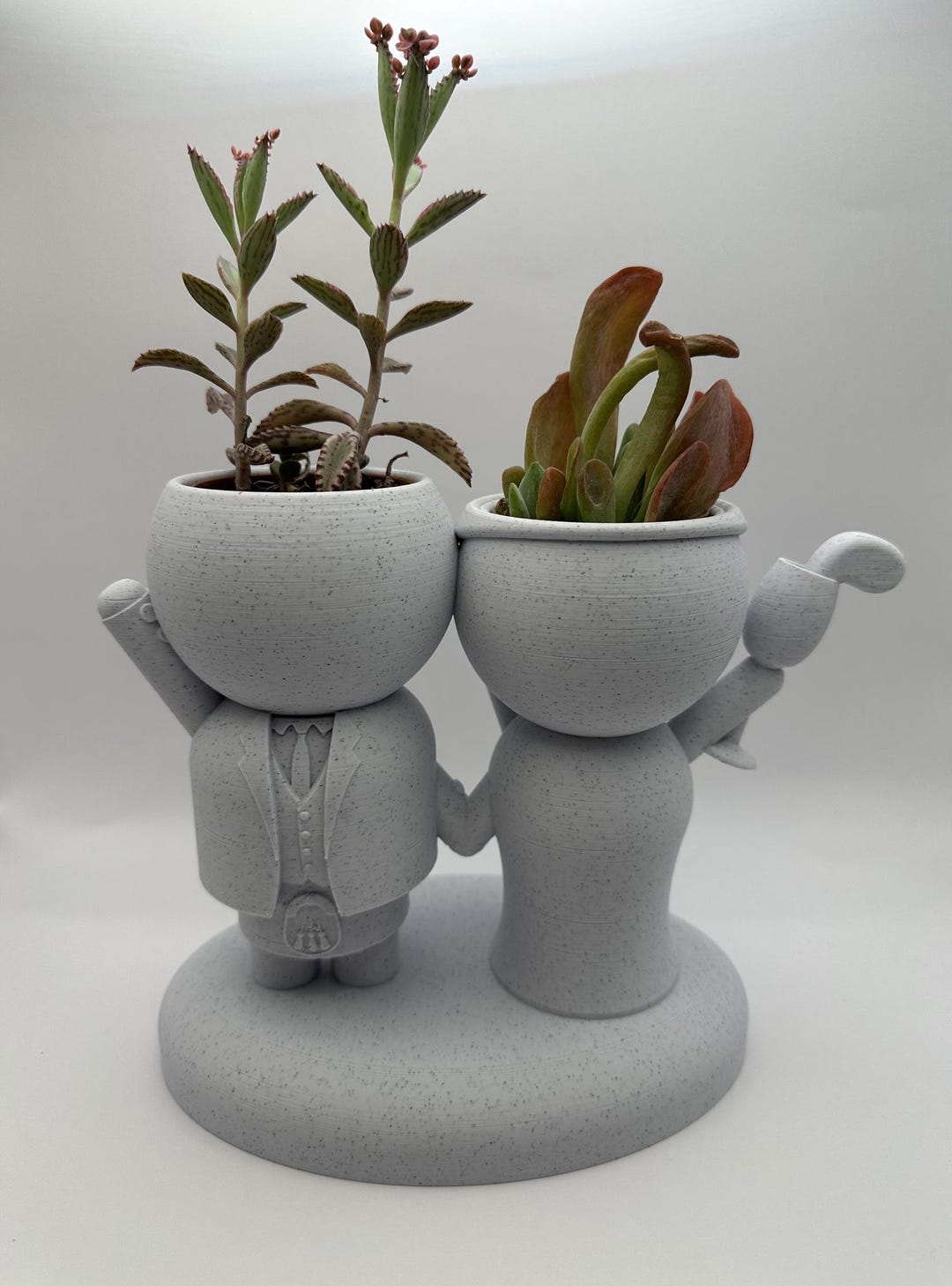 Wedding Gift Succulent Planter Airplant Holder "wee Jimmy Aff Tae the ...