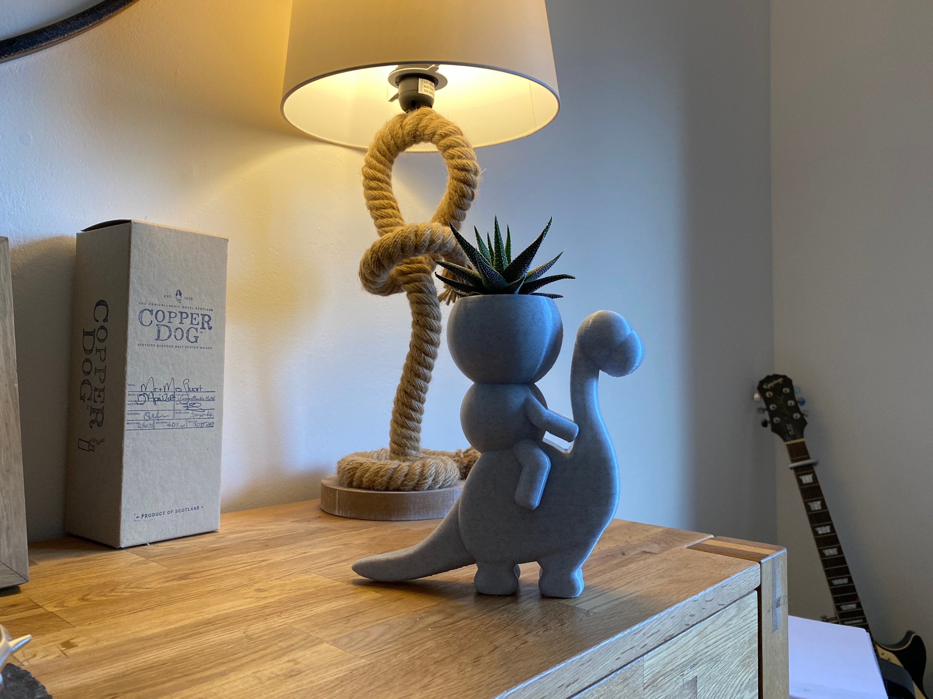 Wee Jimmy Dino Rider Dinosaur Brachiosaurus Diplodocus Succulent Plant ...