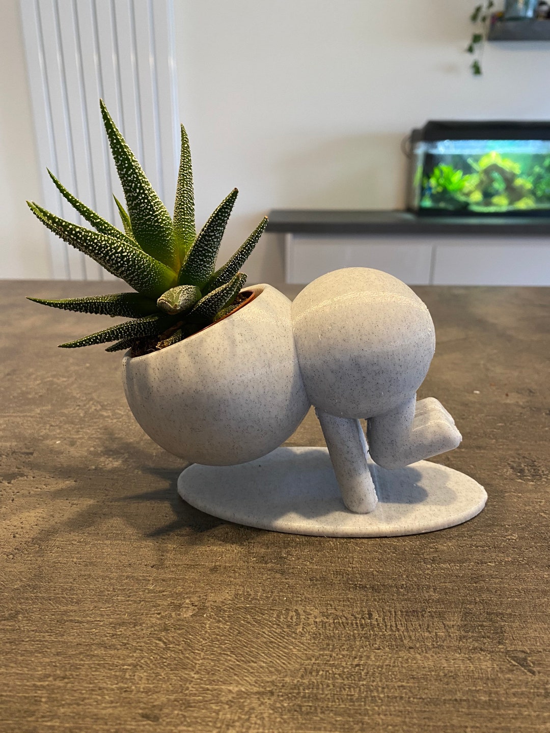 Wee Jimmy Crow Pose Yoga Crow Pose Yogi Succulent Plant Pot- Ships From ...